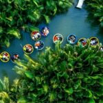Local market, Basket boat, crab fishing & cooking class - Who Will Love This Tour?