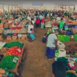 Local Market Tour & Cooking Demo with Lunch from Colombo Harbor - Who Will Enjoy This Tour?