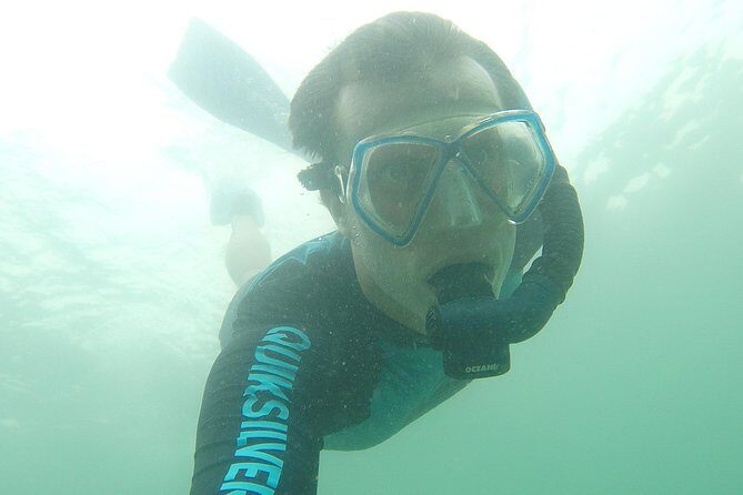 Local Reef Snorkelling and Deserted Beach - Who Will Love This Tour?