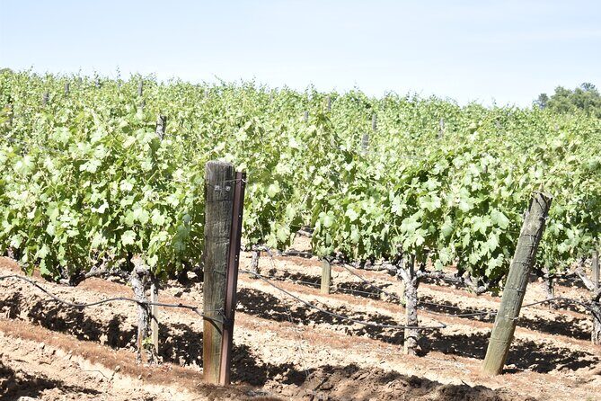 Lodi wine tasting tours Customized private 1 to 14 passenger - The Experience’s Strengths