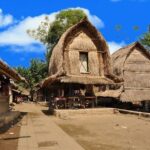 Lombok Sasak Culture Tour from Mataram - Who Should Consider This Tour?