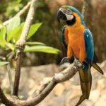 Lombok Wildlife Park Skip the Line Ticket - Authentic Experiences and Travel Insights