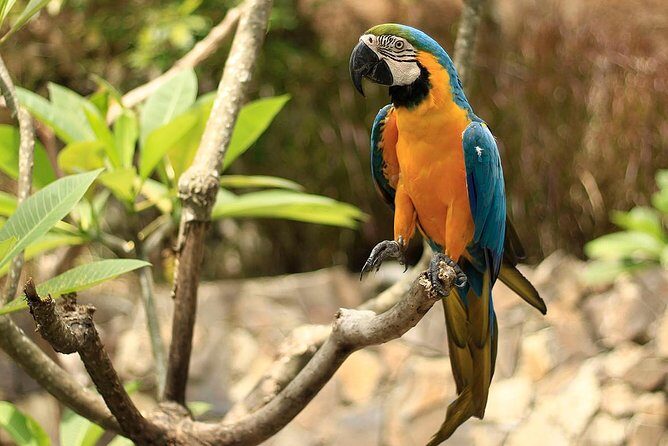 Lombok Wildlife Park Skip the Line Ticket - Authentic Experiences and Travel Insights