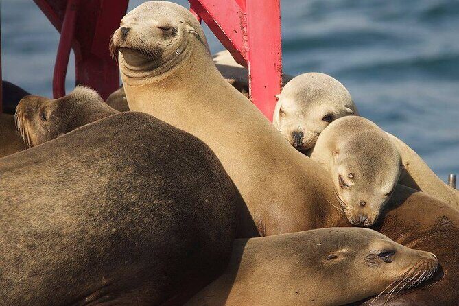 Long Beach Harbor 45-Minute Boat Tour - The Sights in Detail: Why They Matter