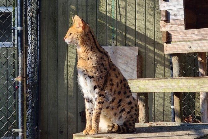 Long Island Farm & Wildplay Jones Beach Tour | Kids 50% Off - Practical Details on Transportation & Timing