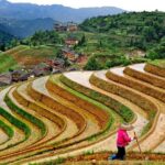 Longji Rice Terraces Day Tour from Xingping hotel - Second Stop: Pingan Village and the Yao Women