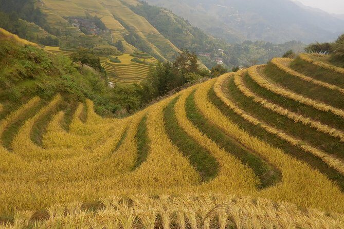 Longji Rice Terraces Day Tour with the Ping'an and Dazhai Village - Transport and Accessibility