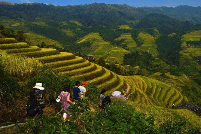 Longji Rice Terraces Field Private Full Day Tour - What Makes This Tour Stand Out?