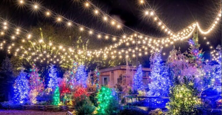 Longwood Gardens Holiday Lights Tour from Philadelphia - Authentic Travelers’ Perspectives
