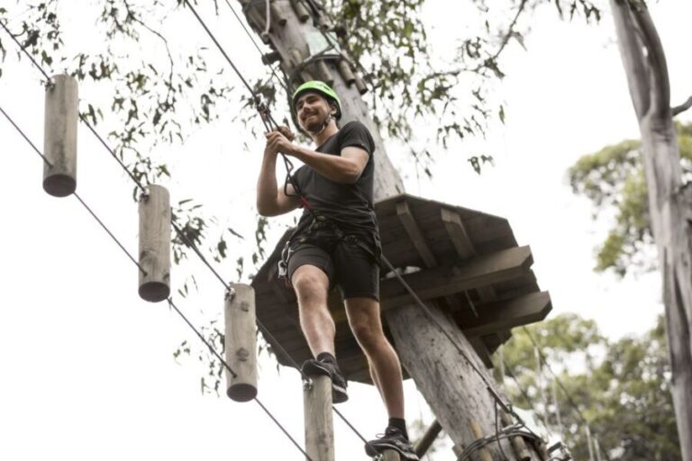 Lorne: Live Wire Park Super Circuit Ticket - Why This Experience Will Delight Certain Travelers