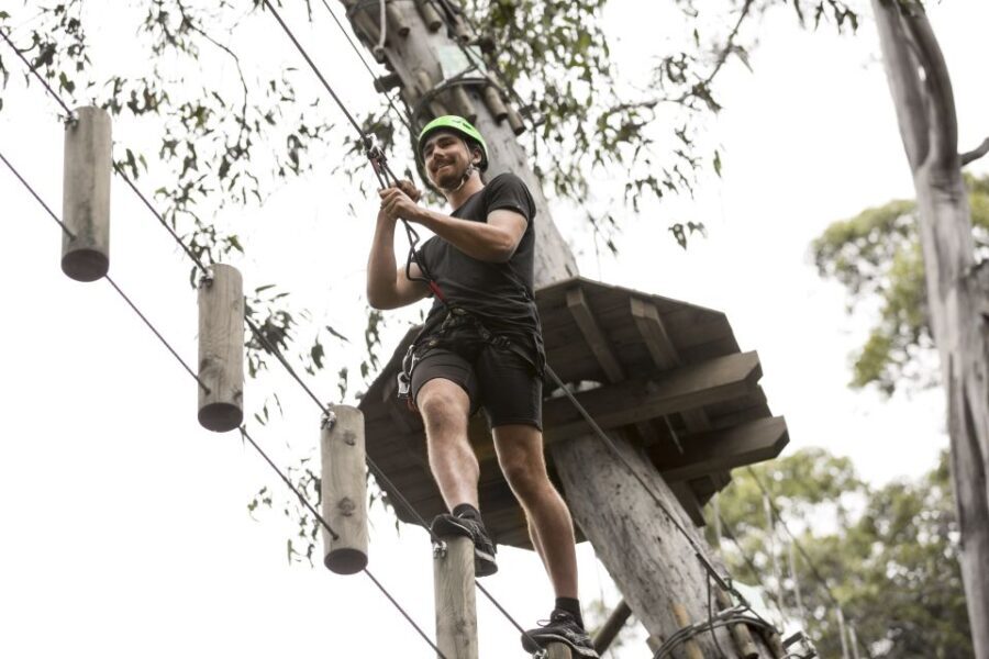 Lorne: Live Wire Park Super Circuit Ticket - Why This Experience Will Delight Certain Travelers