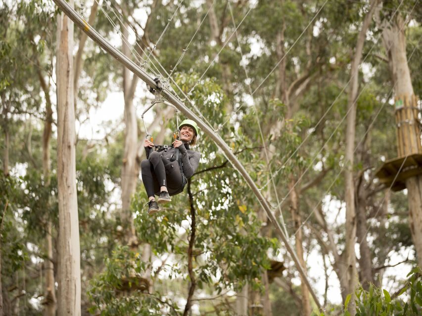 Lorne: Live Wire Park Ticket with Zip Line Rollercoaster - Experience Overview: Nature, Thrills, and Tree-Top Views