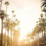 Los Angeles 4-Hour Private Tour: Beverly Hills & More - Who Will Love This Tour?