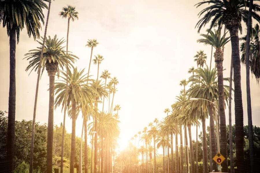 Los Angeles 4-Hour Private Tour: Beverly Hills & More - Who Will Love This Tour?