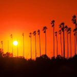 Los Angeles: 7-Hours City & Beach Tour With Hotel Pick Up - Practicalities and What to Expect