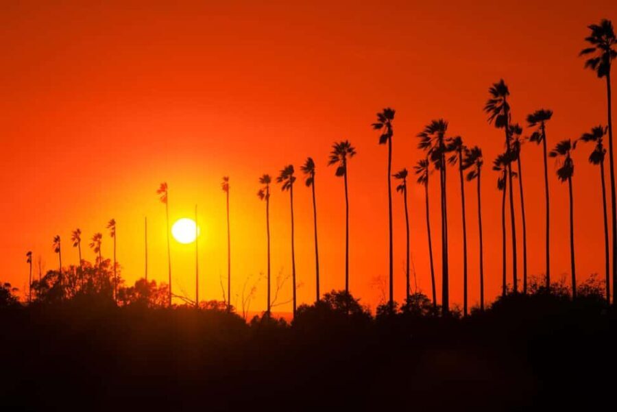 Los Angeles: 7-Hours City & Beach Tour With Hotel Pick Up - Practicalities and What to Expect