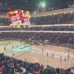 Los Angeles: Anaheim Ducks Ice Hockey Game Ticket - What We Love