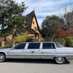 Los Angeles: True Crime Sightseeing Limo Tour - Who Will Love This Tour?