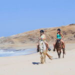 Los Cabos: 2 in 1 Combo Tour - The Itinerary Breakdown