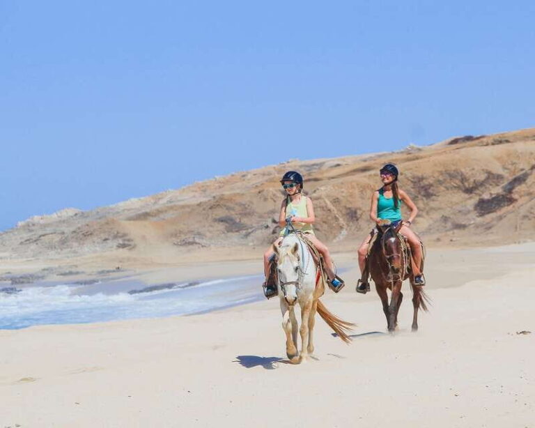 Los Cabos: 2 in 1 Combo Tour - The Itinerary Breakdown