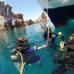 Los Cabos 2 tanks dive to The Corridor (Certified divers) - The Itinerary: What to Expect from Start to Finish