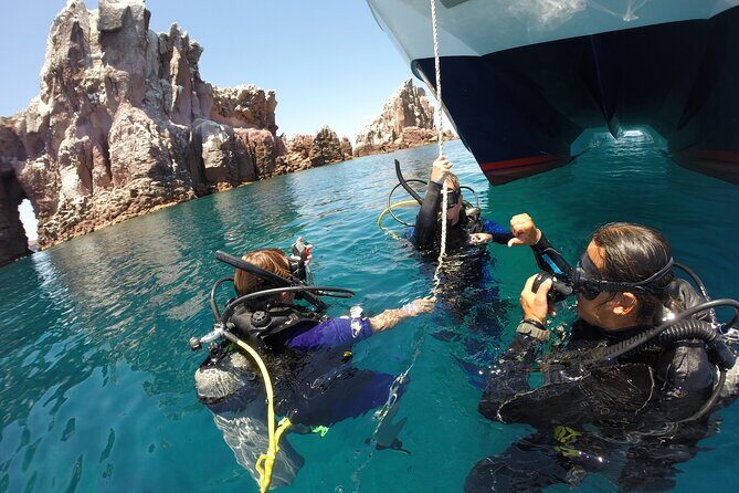 Los Cabos 2 tanks dive to The Corridor (Certified divers) - The Itinerary: What to Expect from Start to Finish