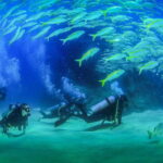 Los Cabos: 3-Hour Introductory Scuba Diving Adventure - The Dive Locations and What to Expect
