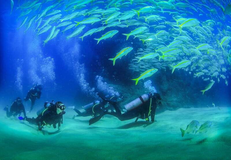 Los Cabos: 3-Hour Introductory Scuba Diving Adventure - The Dive Locations and What to Expect