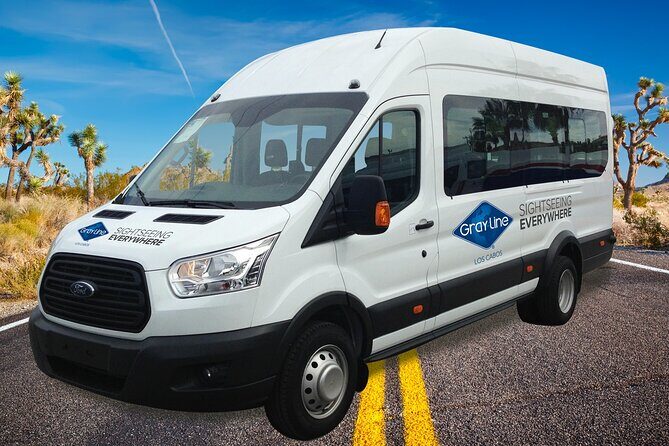 Los Cabos Airport One Way Shuttle Only Arrival - Real Traveler Experiences