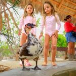 Los Cabos: Animal Encounter & Aqua Park Adventure - What to Expect on the Tour