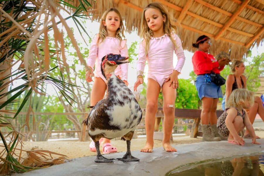 Los Cabos: Animal Encounter & Aqua Park Adventure - What to Expect on the Tour