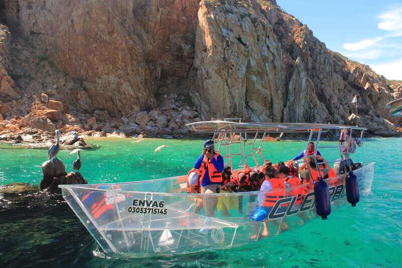 Los Cabos Arch & PelicanRock Cabo San Lucas CrystalBoat Tour - The Reviews in Context