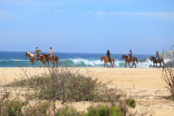 Los Cabos ATV and Pacific Horseback Riding Combo Tour - Authentic Land and Sea Views