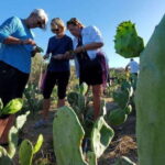 Los Cabos: Azteca Cactus Taco Farm to Table Cooking Class - What the Tour Gets Right