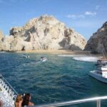 Los Cabos Beginner Scuba Dive Experience - Who Should Book This Tour?