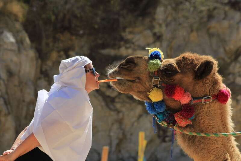 Los Cabos: Camel Ride in the Canyon & Thrilling Water-Slides - Assessing the Value