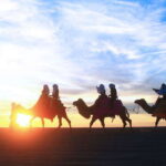 Los Cabos: Camel Ride Safari with Lunch and Tequila Tasting - Detailed Breakdown of the Experience