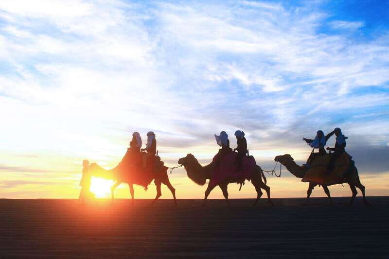 Los Cabos: Camel Ride Safari with Lunch and Tequila Tasting - Detailed Breakdown of the Experience