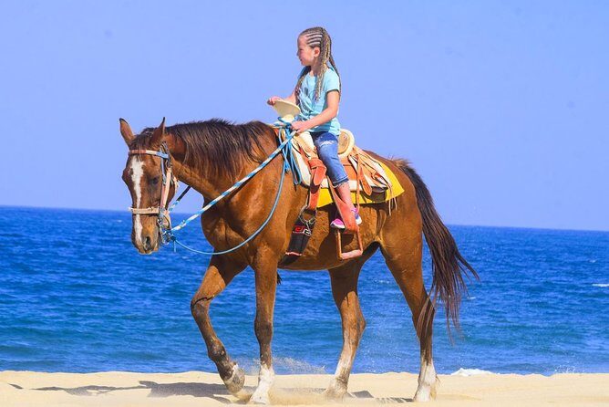 Los Cabos - COMBO Horseback Riding & ATV Tour - Who is this tour best for?