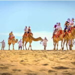Los Cabos: Desert & Sea Camel Safari Tour with Lunch - Detailed Breakdown: From Start to Finish