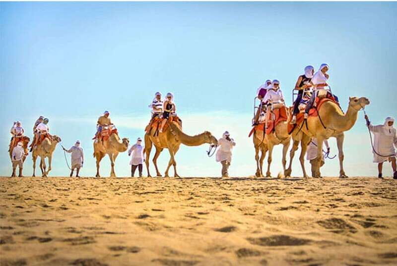 Los Cabos: Desert & Sea Camel Safari Tour with Lunch - Detailed Breakdown: From Start to Finish