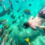 Los Cabos: El Arco, Chileno Beach, and Tequila Tasting Tour - What Travelers Say