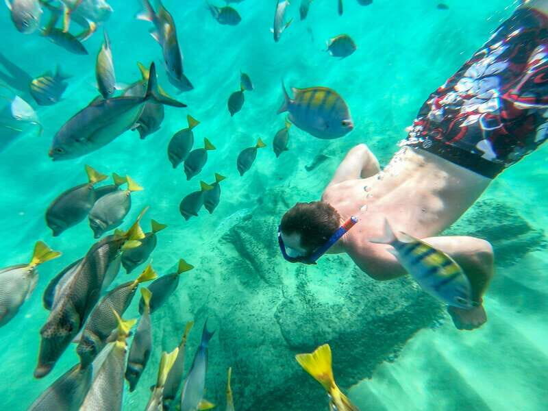 Los Cabos: El Arco, Chileno Beach, and Tequila Tasting Tour - What Travelers Say