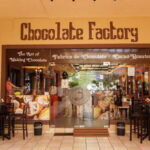 Los Cabos Famous Arch cruise, City tour and Lunch - What’s the Real Value?