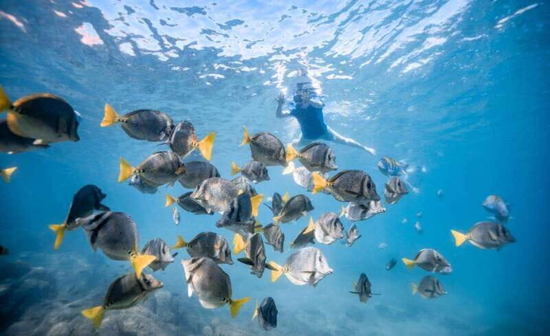 Los Cabos: Glass Bottom Kayak and Snorkel Tour at the Arch - Snorkeling in Emerald Waters