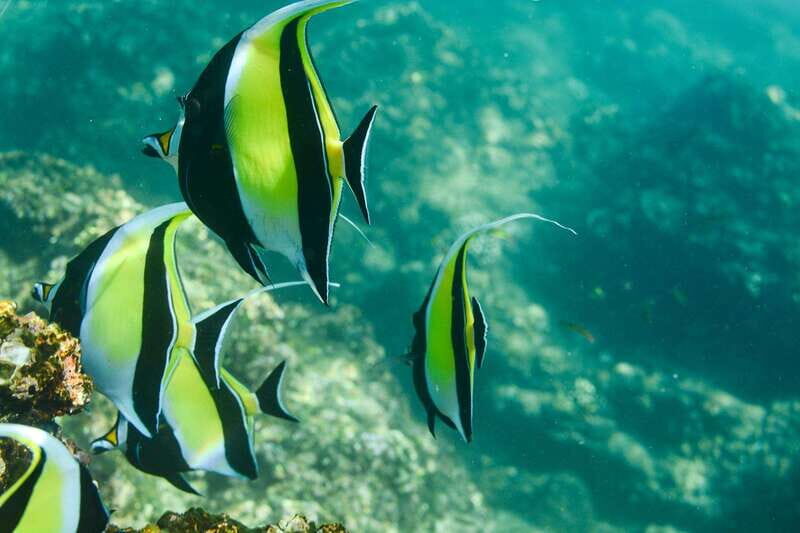 Los Cabos: Glass-Bottom Kayak and Snorkel Tour at Two Bays - The Experience and Its Value
