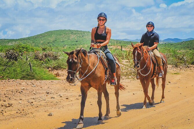 Los Cabos Horseback Riding - Authentic Experiences and Real Traveler Feedback
