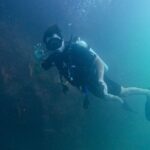 Los Cabos Open Water Diver Course - Who Is This Tour Best For?