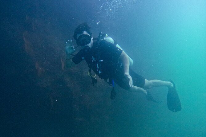Los Cabos Open Water Diver Course - Who Is This Tour Best For?