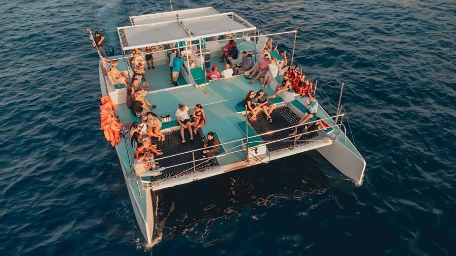 Los Cabos Party Catamaran: Snorkeling, Open Bar & Music Fun - What to Expect on the Los Cabos Party Catamaran